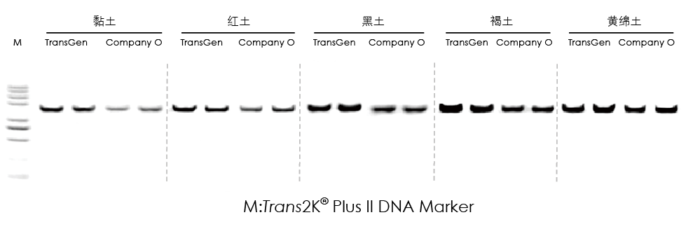 MagicPure® Soil Genomic DNA Kit-北京全式金生物(TransGen Biotech)_官方主页