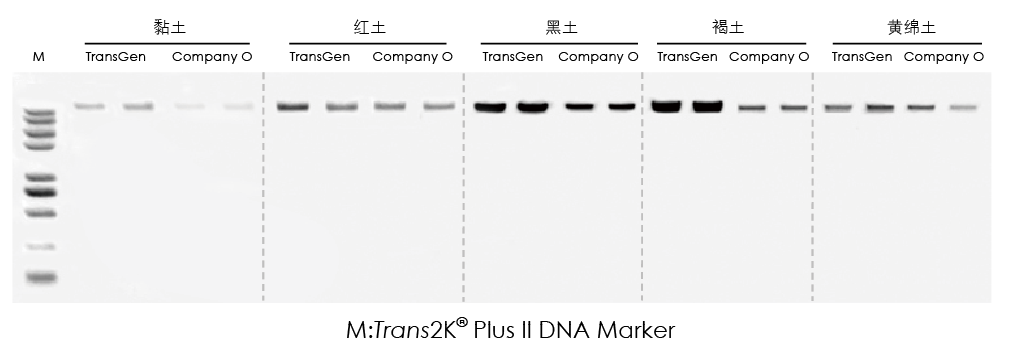 MagicPure® Soil Genomic DNA Kit-北京全式金生物(TransGen Biotech)_官方主页